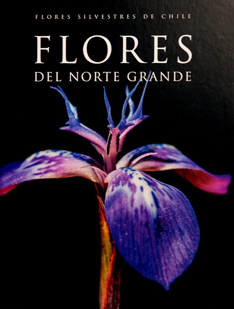 Gratis: 33 libros flora y fauna chilena – Lecturas de Berna